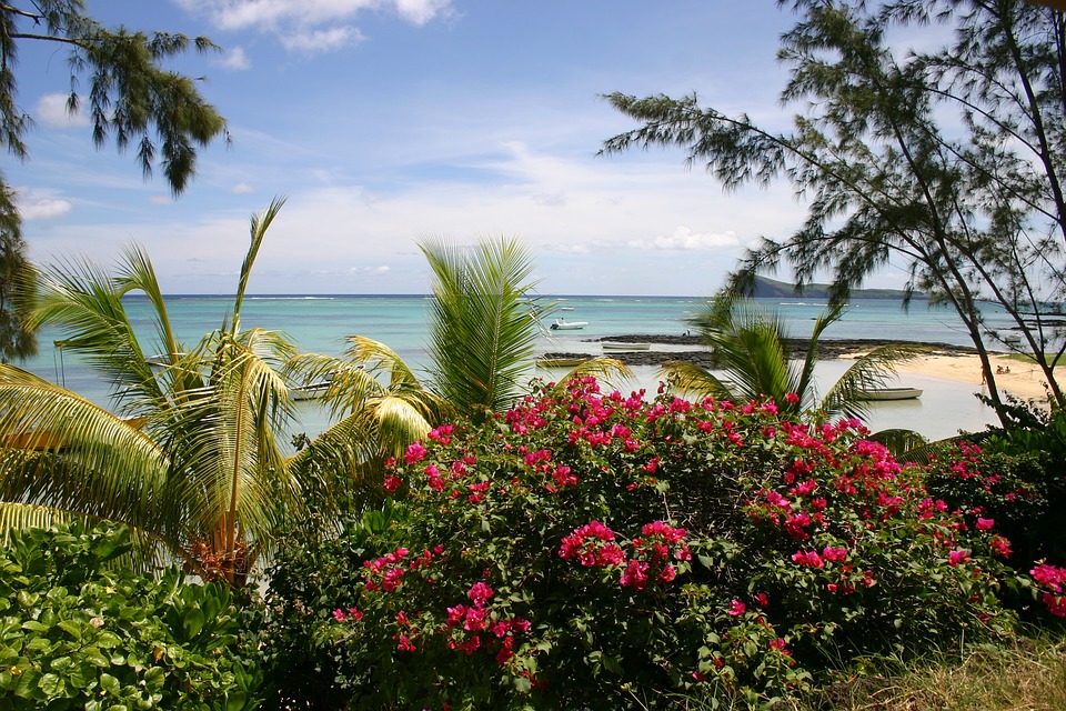 AskOliveJames - THE GORGEOUS MAURITIUS • AskOliveJames